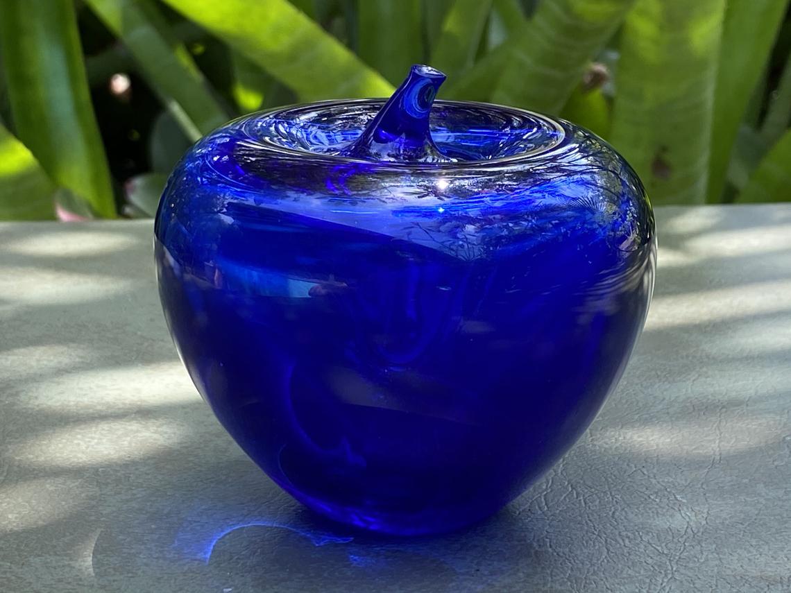 2020 Midwest Relativity Meeting Blue Apple Awarded to Lindsay DeMarchi ...