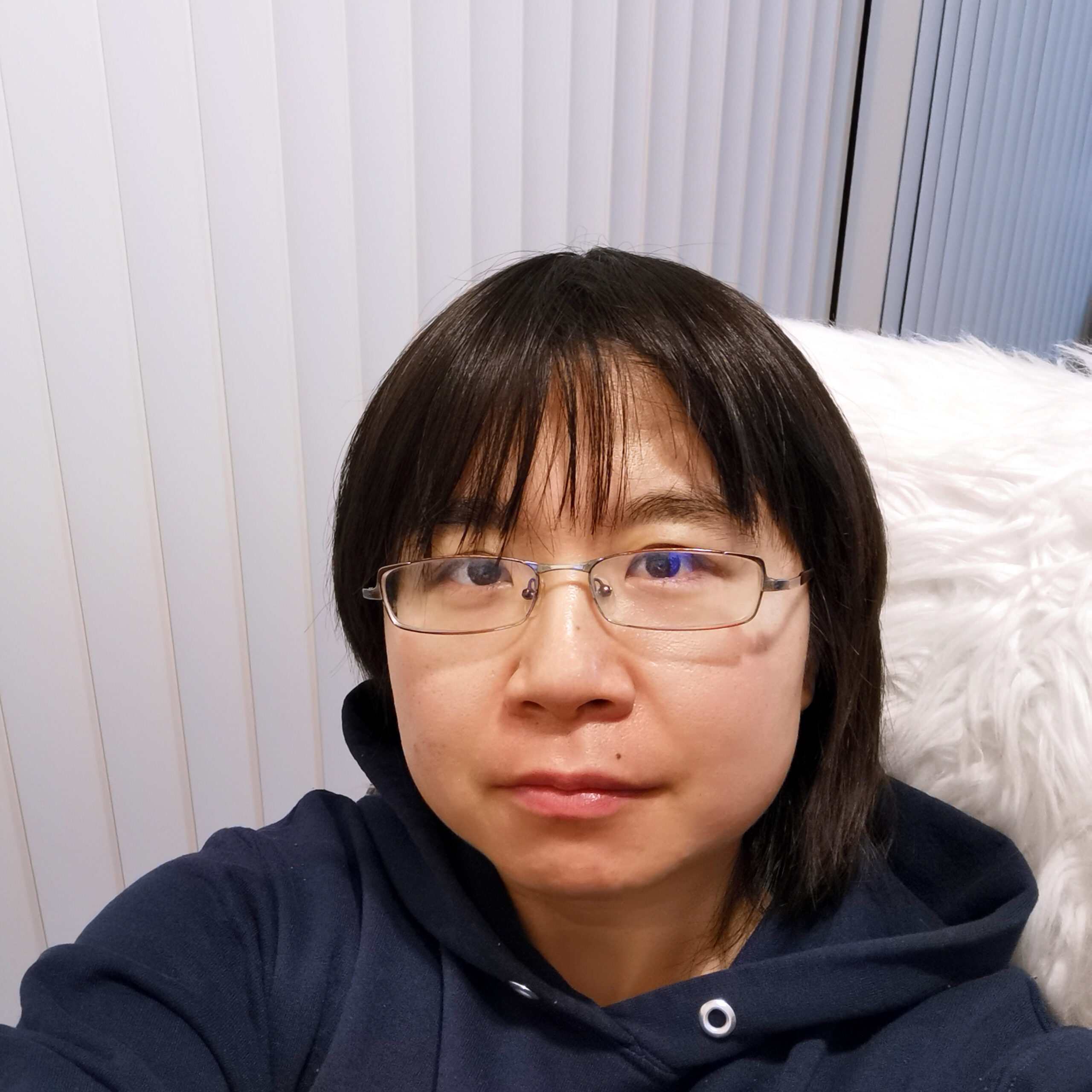 Meng Sun – Center for Interdisciplinary Exploration and Research in ...