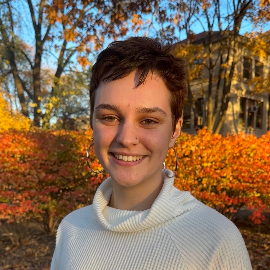 Stellar Dynamics & Stellar Populations – Center for Interdisciplinary ...